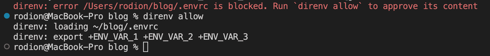 running direnv allow