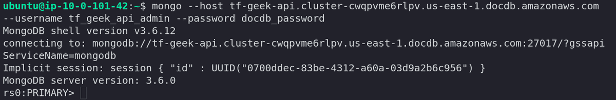 Amazon DocumentDB + AWS Lambda with Terraform